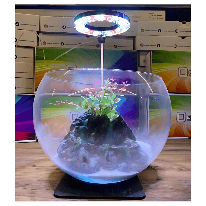 ORIONLED FANUS SERİSİ – Narlıdere Akvaryum Petshop